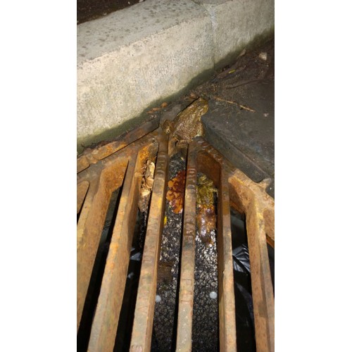 The BHS Amphibian Gully Pot Ladder | British Herpetological Society